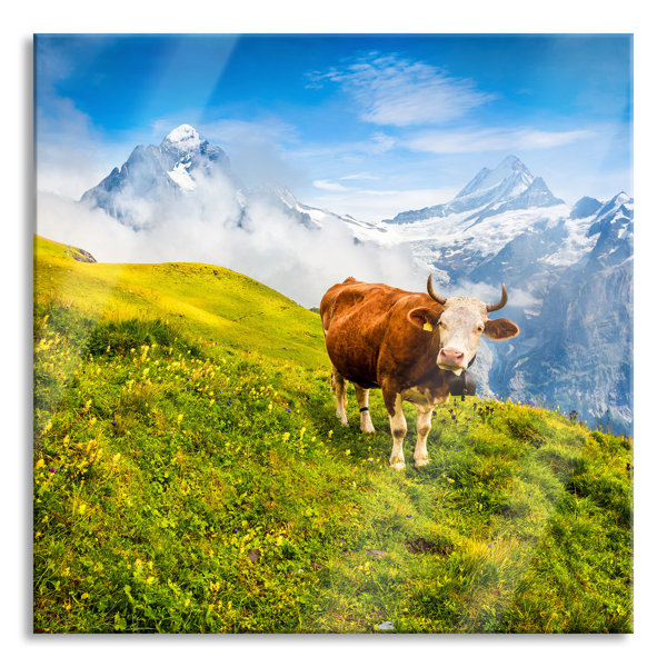 Sommerallee Glasbild Kuh auf einer Weide in den Bergen | Wayfair.de